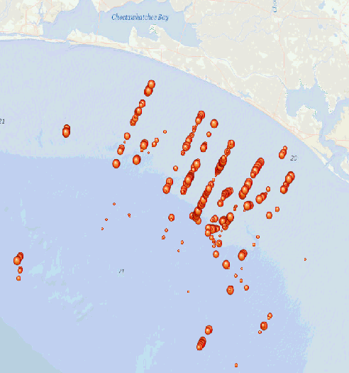 Fishing Destin Guide - A local's guide to fishing the Destin area